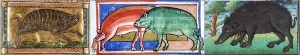 Boars of battle: The wild boar in the early Middle Ages – Thijs Porck