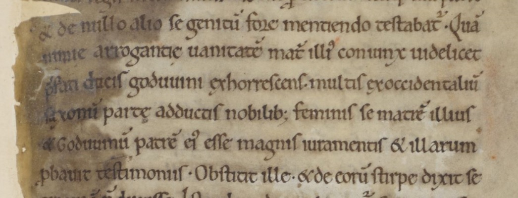 #NotMyConqueror: Gytha and the Anglo-Saxon Women’s March against ...