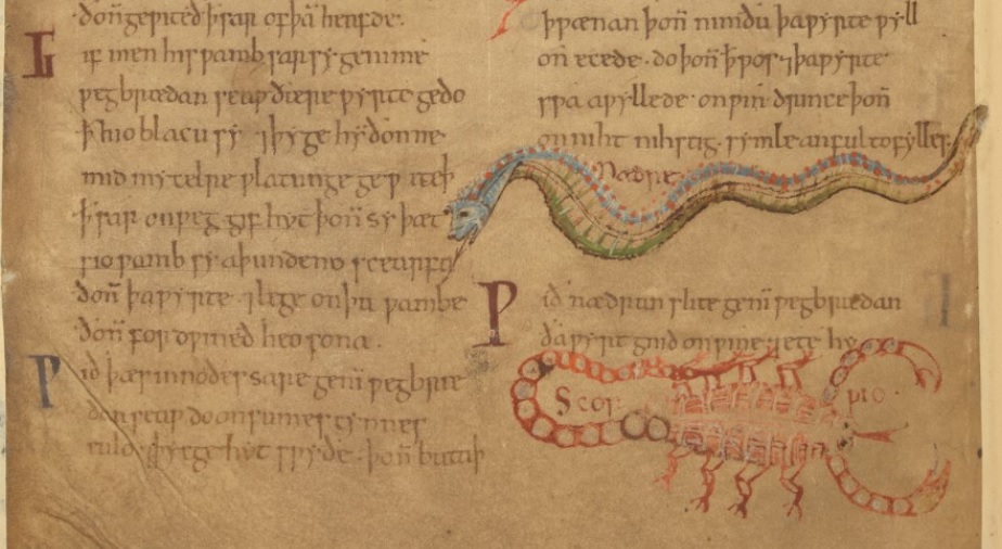 Creepy Crawlies in Early Medieval England: Anglo-Saxon Medicine and ...