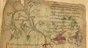 Creepy Crawlies in Early Medieval England: Anglo-Saxon Medicine and ...