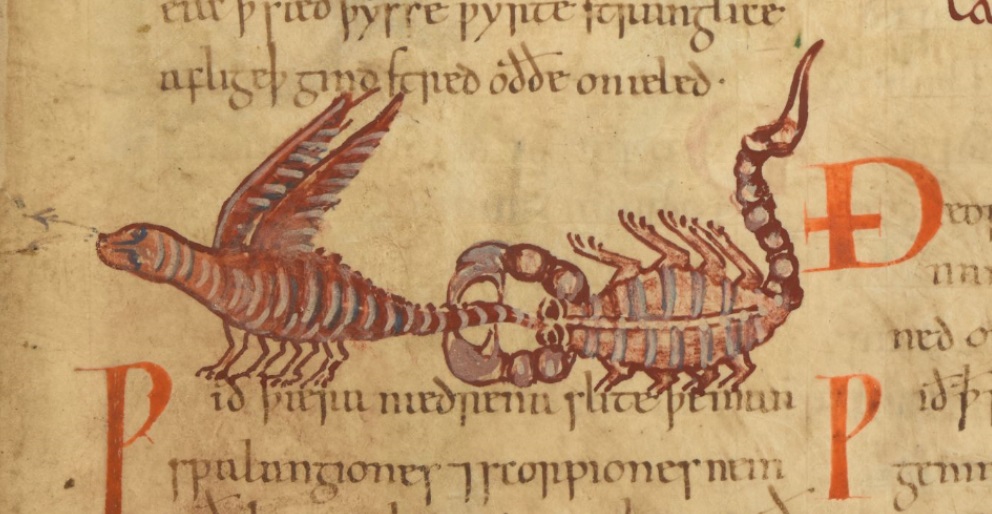 Creepy Crawlies in Early Medieval England: Anglo-Saxon Medicine and ...