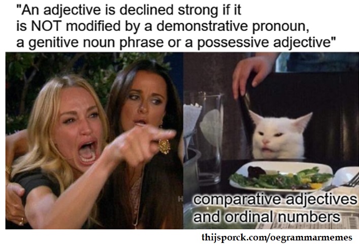 Old English grammar memes – Thijs Porck